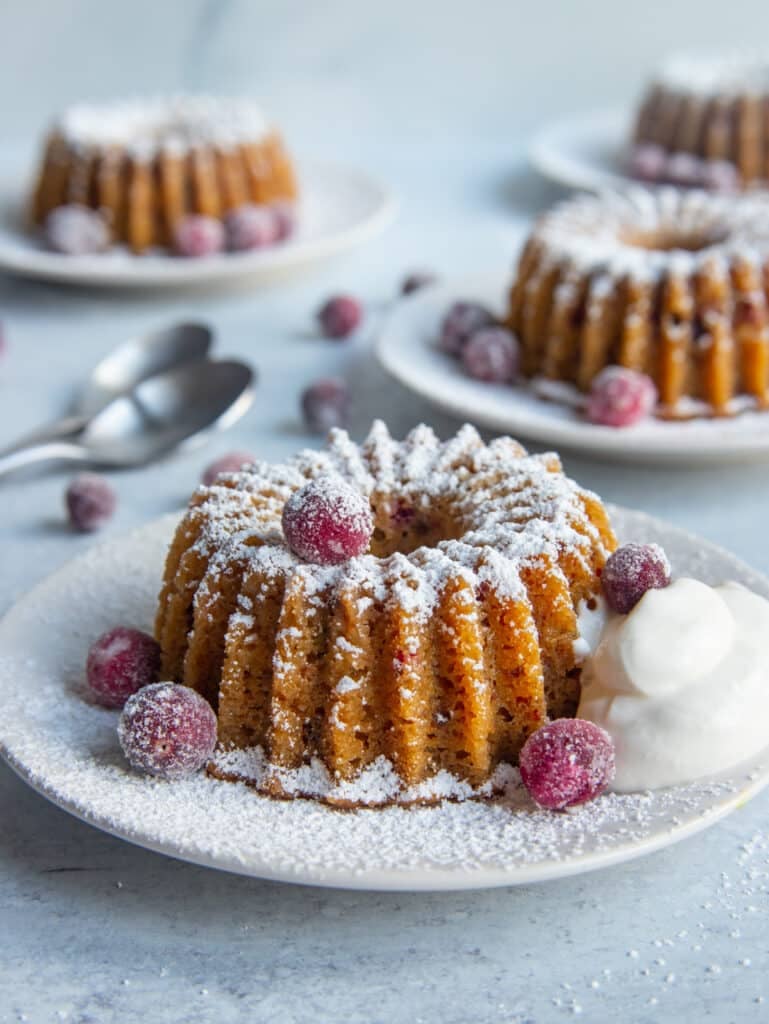 Cranberry Orange Mini Bundt Cakes - Bakes by Brown Sugar