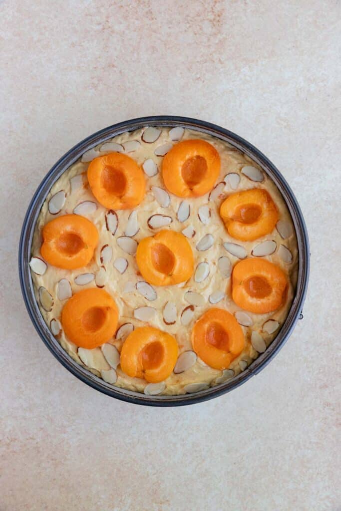 Apricot Cake with Fresh Apricots - Bakes by Brown Sugar