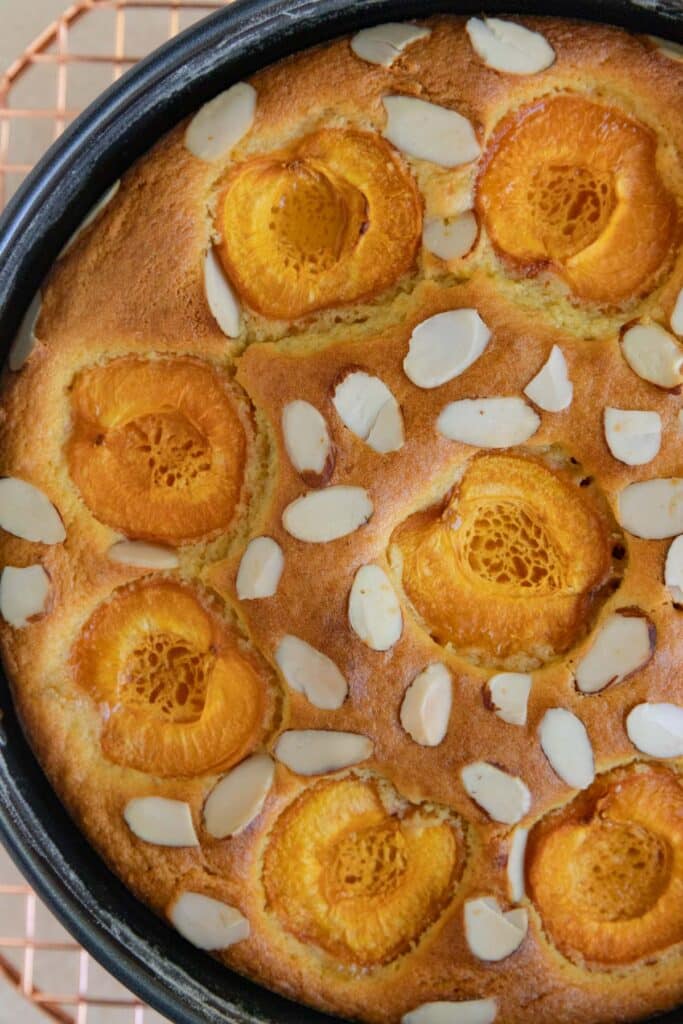Apricot Cake with Fresh Apricots - Bakes by Brown Sugar