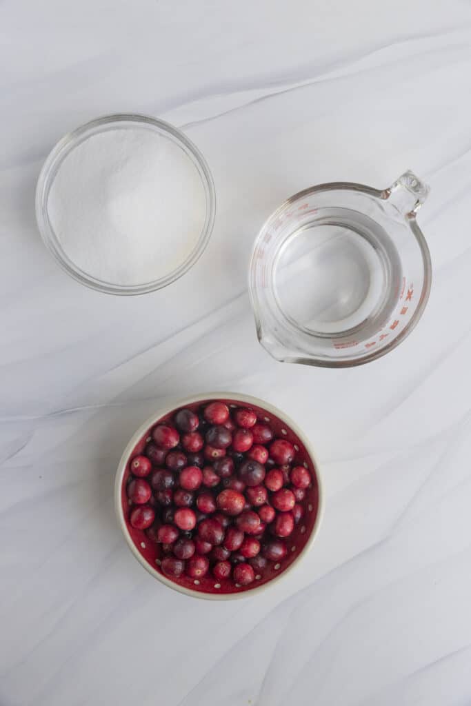Cranberry Simple Syrup Recipe- Bakes by Brown Sugar